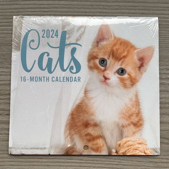 Old East Main | Office | 224 Mini Calendar Wall 56x53 Cats And Kittens ...